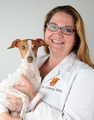 Courtney Riley - Tampa Animal Hospitals Tampa Animal Hospitals