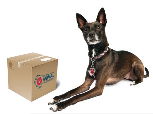 Home Delivery and Remind Me™ Programs - Tampa Bay Animal Hospitals ...