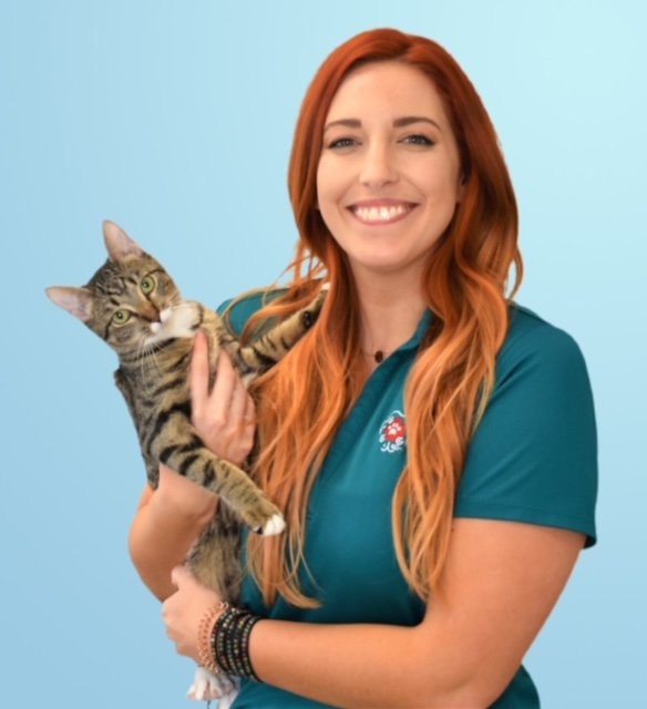 Melissa Layton - Tampa Animal Hospitals Tampa Animal Hospitals