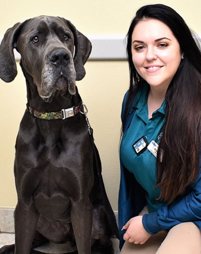 Alyssa Thiessen - Tampa Animal Hospitals Tampa Animal Hospitals