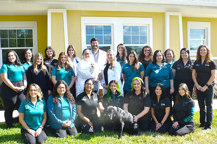 Cheval Animal Hospital - Lutz, FL - Tampa Bay Animal Hospitals Tampa ...