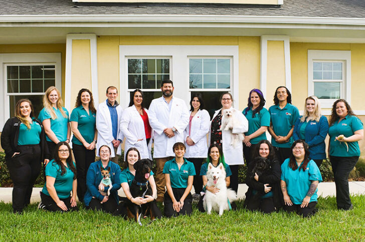 Cheval Animal Hospital - Lutz, FL - Tampa Bay Animal Hospitals
