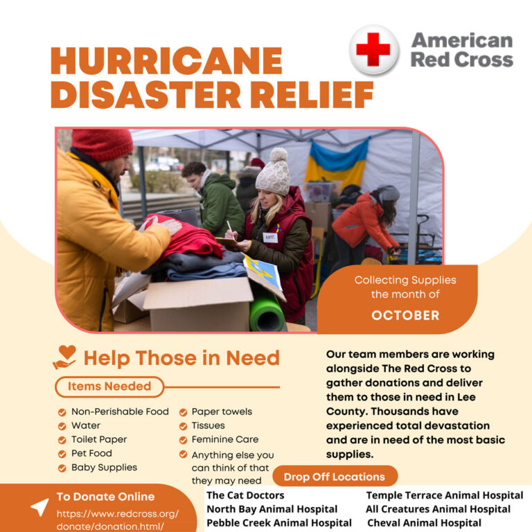 Hurricane Relief Drive - Tampa Animal Hospitals Tampa Animal Hospitals