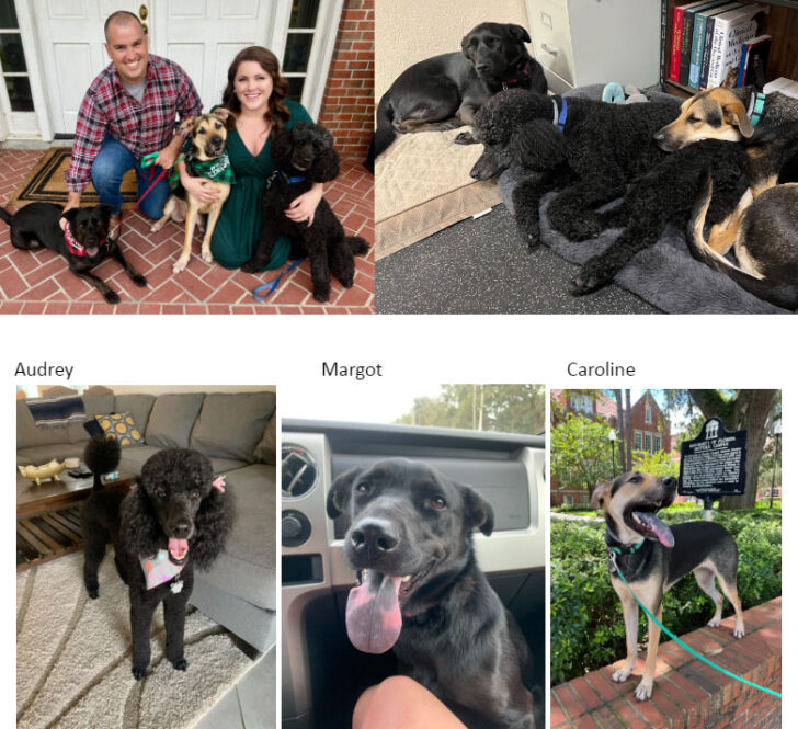 Tampa Palms Animal Hospital - New Tampa - Tampa Animal Clinics Tampa ...