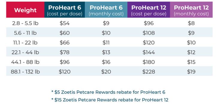 Once-a-Year Heartworm Protection For Dogs - Tampa, FL Tampa Animal ...