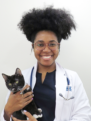 Caryn Ford - Tampa Animal Hospitals Tampa Animal Hospitals