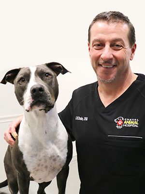 David Brake - Tampa Animal Hospitals Tampa Animal Hospitals