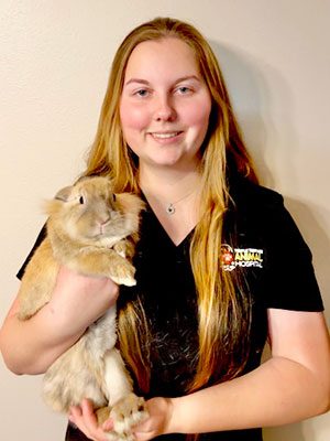 Noadya - Tampa Animal Hospitals Tampa Animal Hospitals